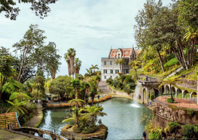 Rejse for enlige til Madeira - rejs med Spies og spar 250 kr.